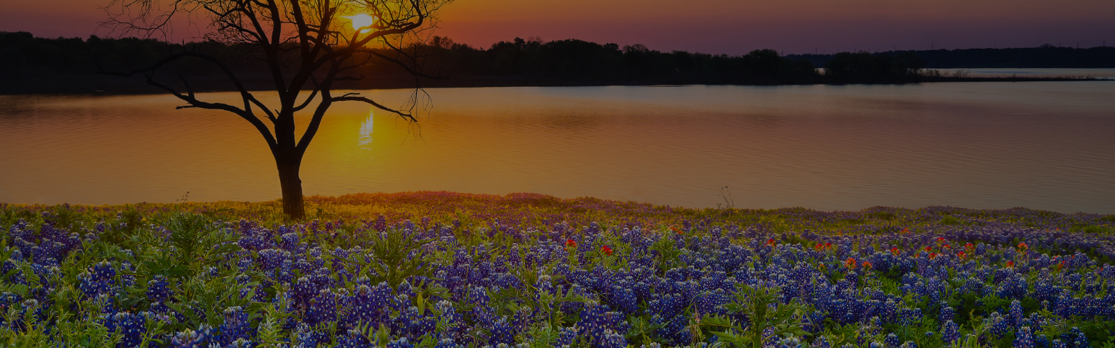 Internet – Highline Texas